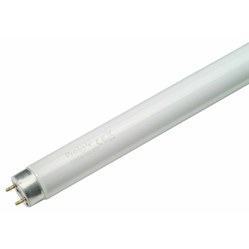 Tube néon T8 36 W 120 cm PROLIGHT